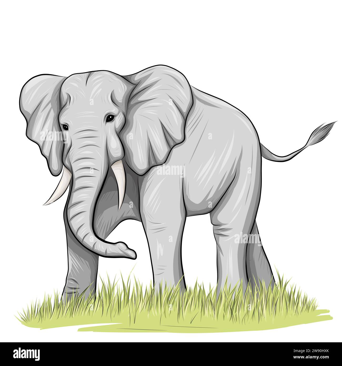 Nationalpark tier Cut Out Stock Images & Pictures - Alamy