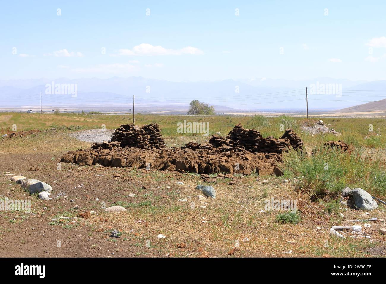 a large dung heap as heating fuel on a horse farm in Kyrgyzstan in ...