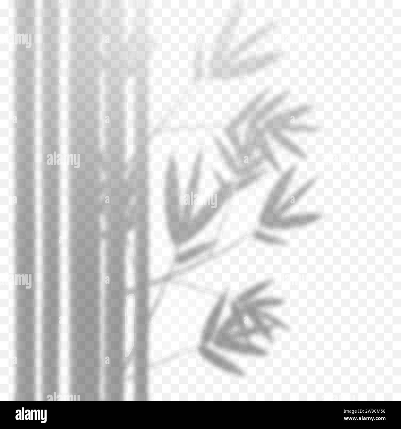 Bamboo shadows. Decorative plant shadows. Isolated on transparent background Stock Vector Image ...