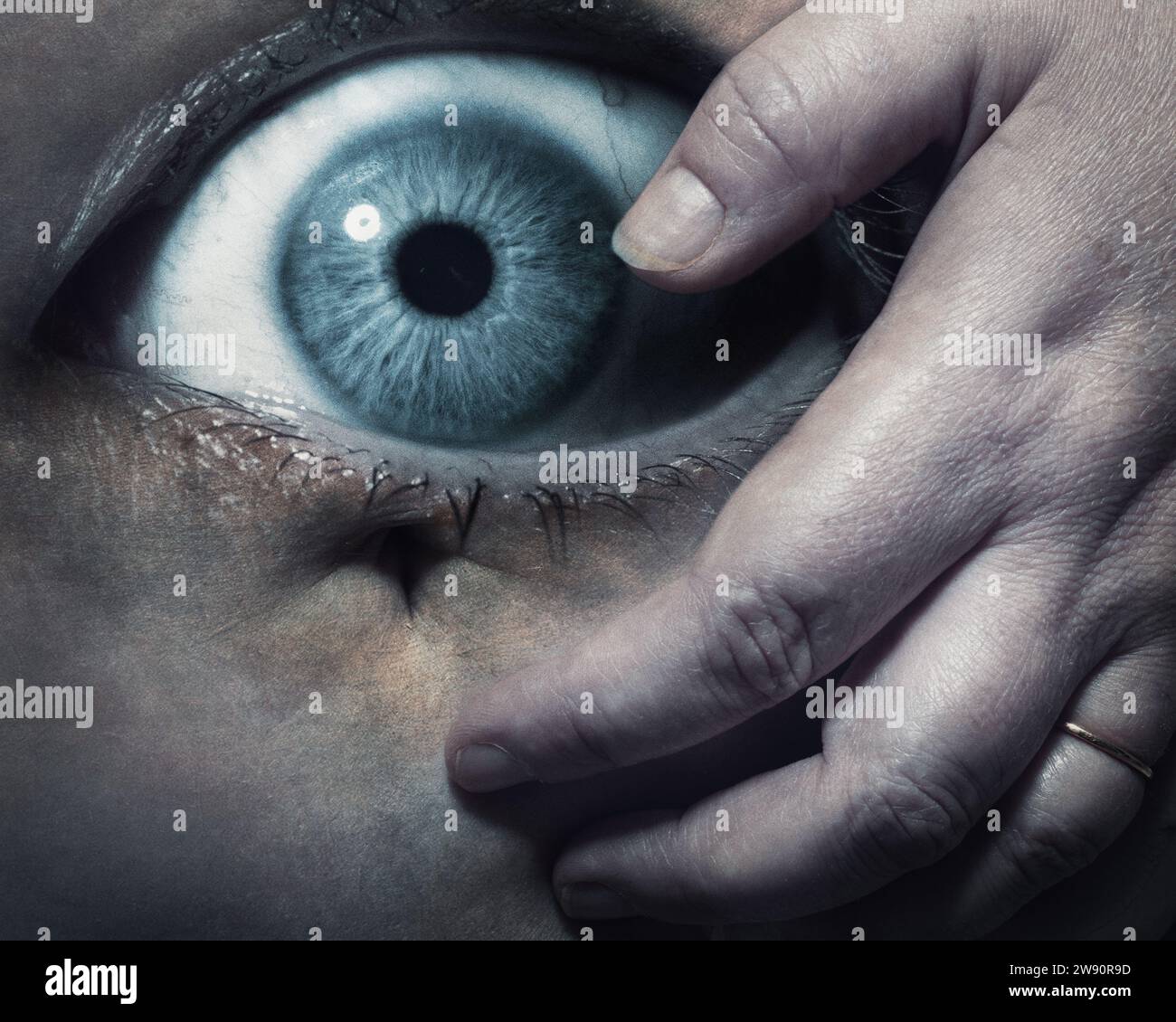 eyes bigger than your belly, a composite photograph featuring a large ...
