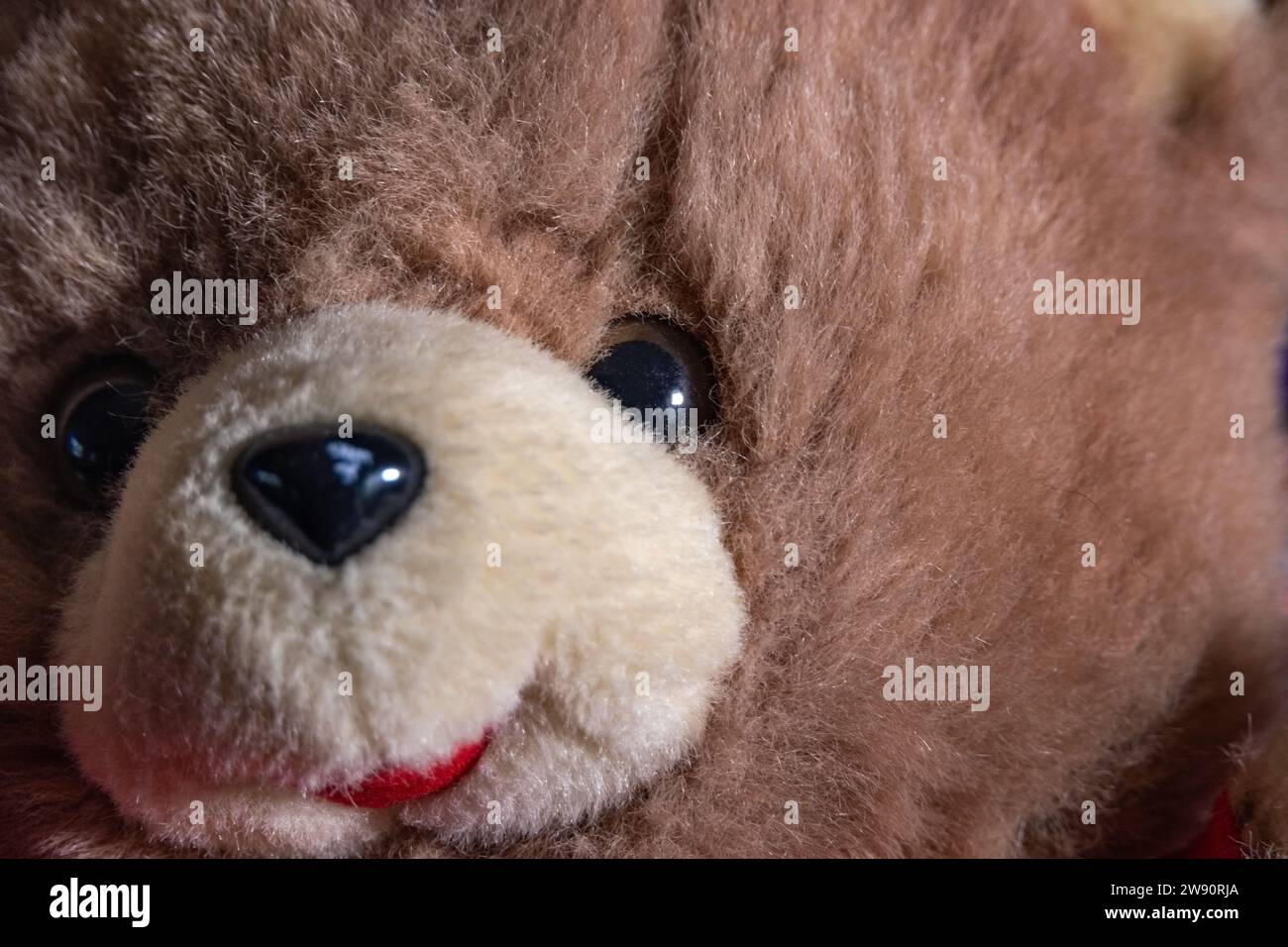 Still life teddy bear hi-res stock photography and images - Alamy