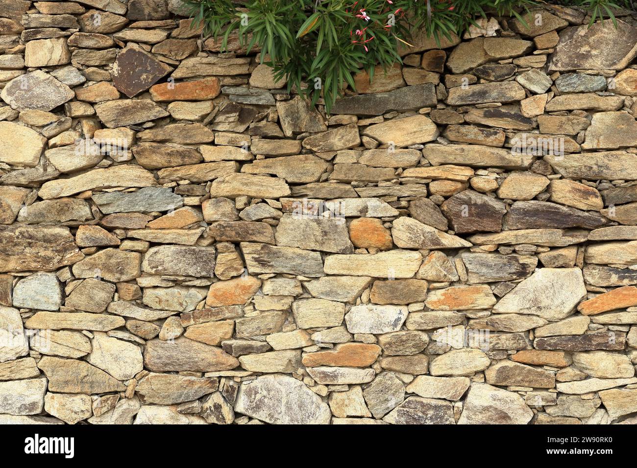 yellow beige natural stone wall of different sized stones, traditional ...