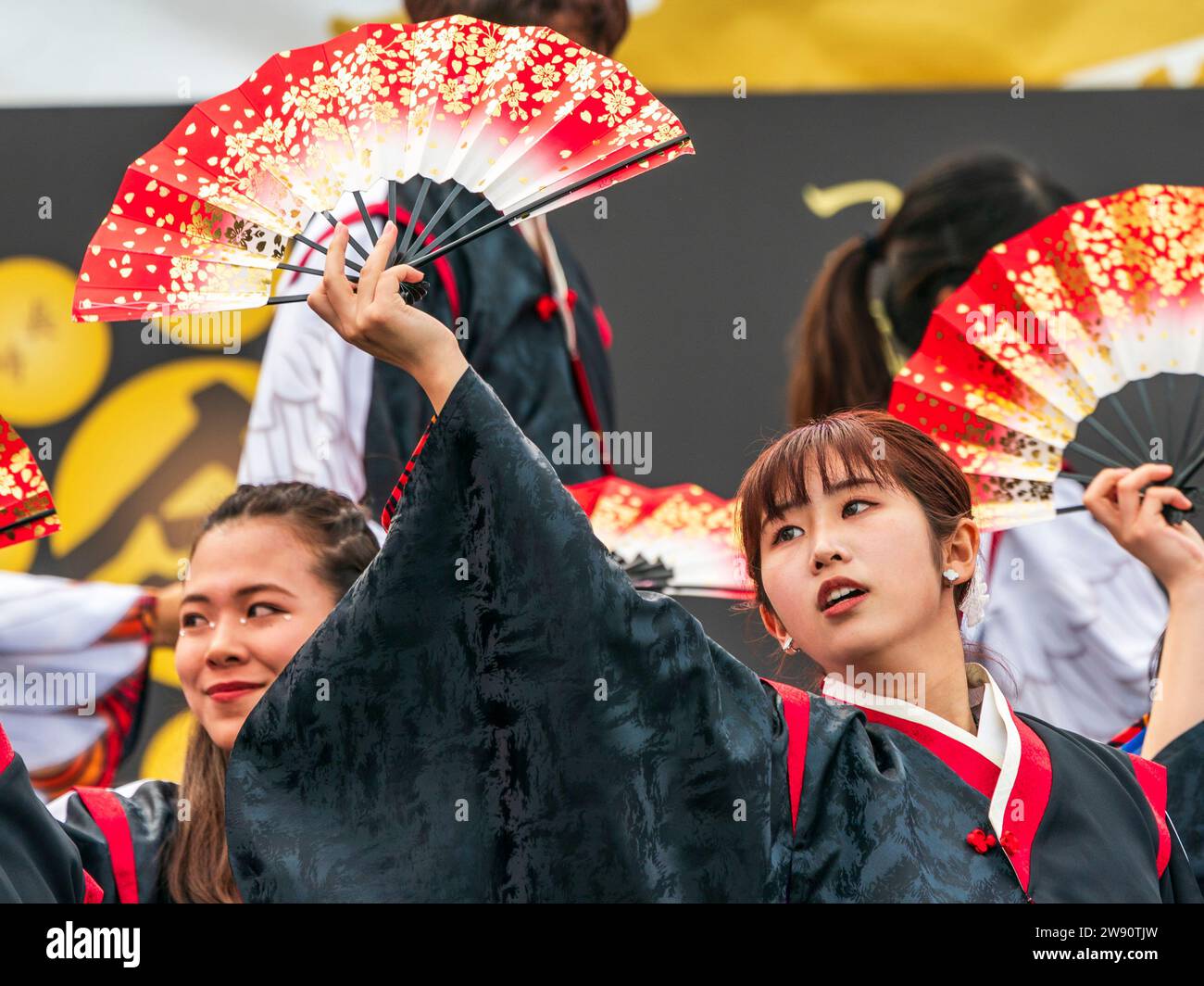 Close up of a pretty young woman Yosakoi dancer holding an open fan up ...