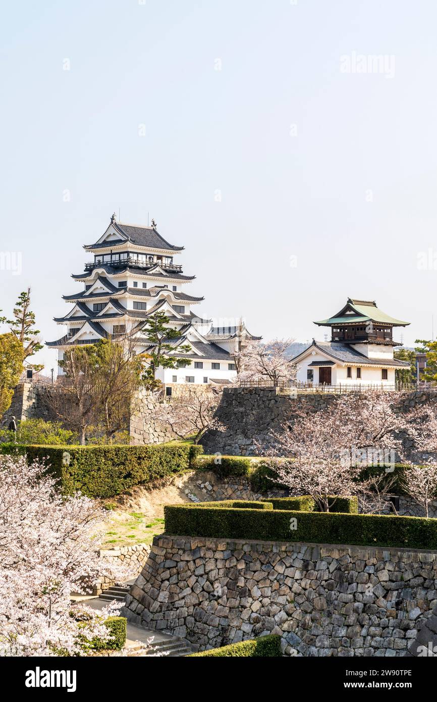 Fukuyama castle, Japan. Ishigaki stone walls, cherry blossom trees, the ...
