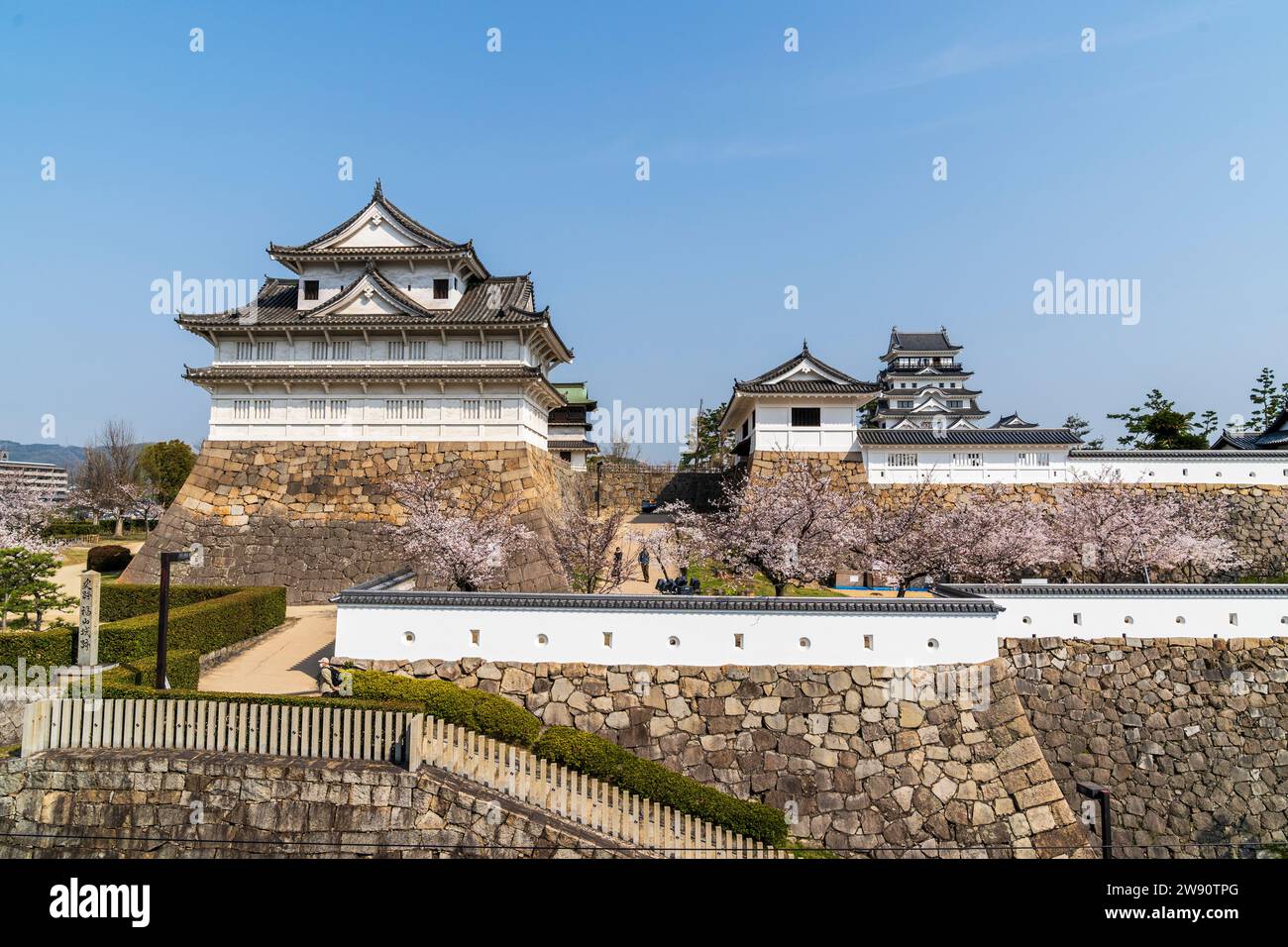 Fukuyama castle, Japan. A row of cherry blossoms behind a white plaster ...