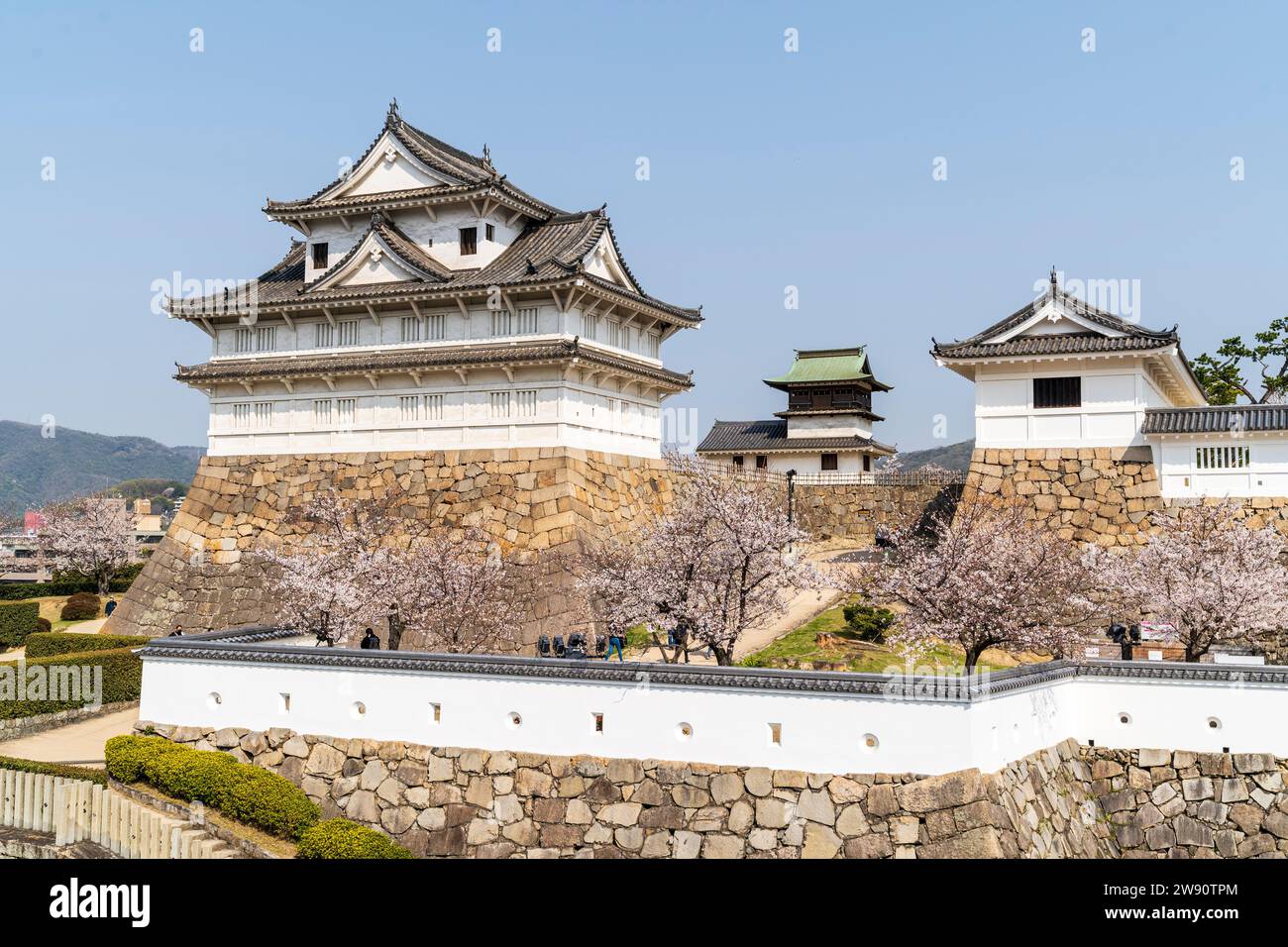 Fukuyama castle. A row of cherry blossoms behind a white plaster wall ...