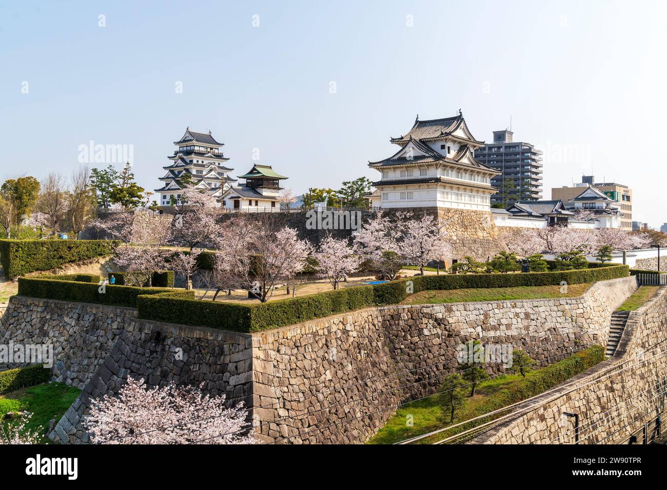 Fukuyama castle, Japan. Ishigaki stone walls, cherry blossom trees, the ...