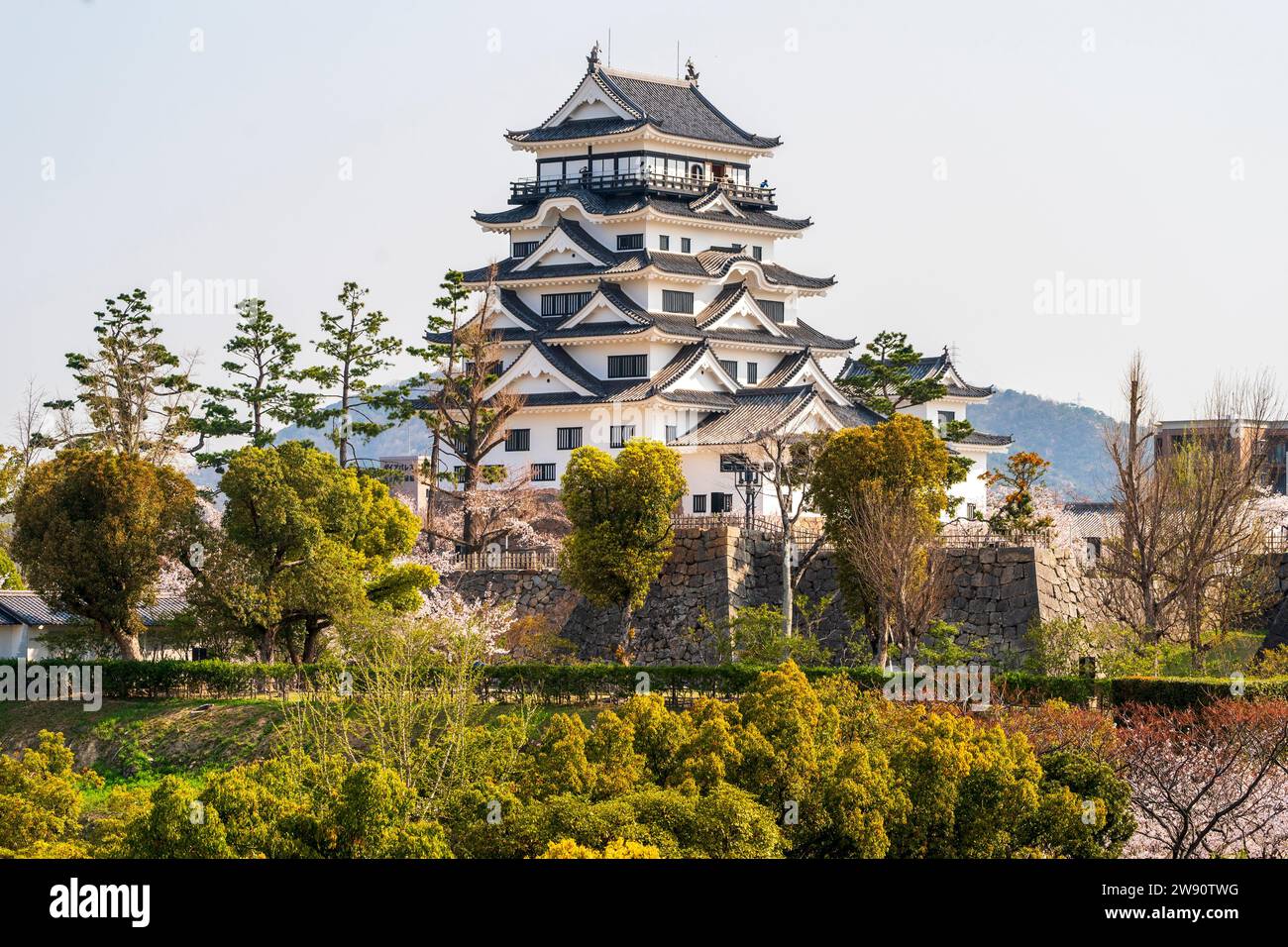Fukuyama castle, Japan. Trees in front of the ishigaki stone walls of ...