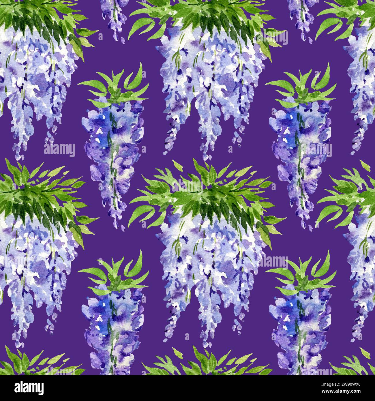 Wisteria flower illustration hi-res stock photography and images - Alamy