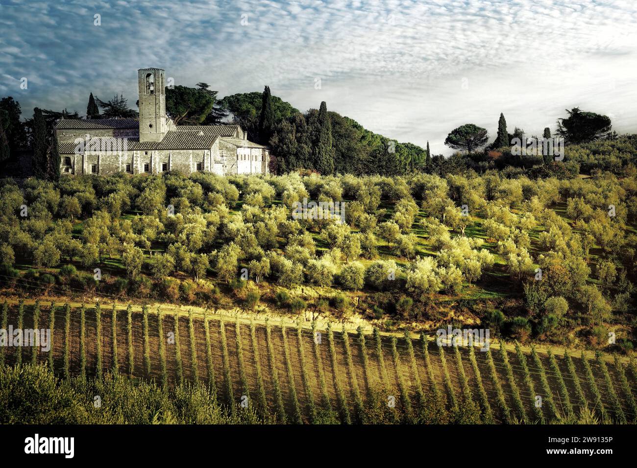 Lucia field hi-res stock photography and images - Alamy