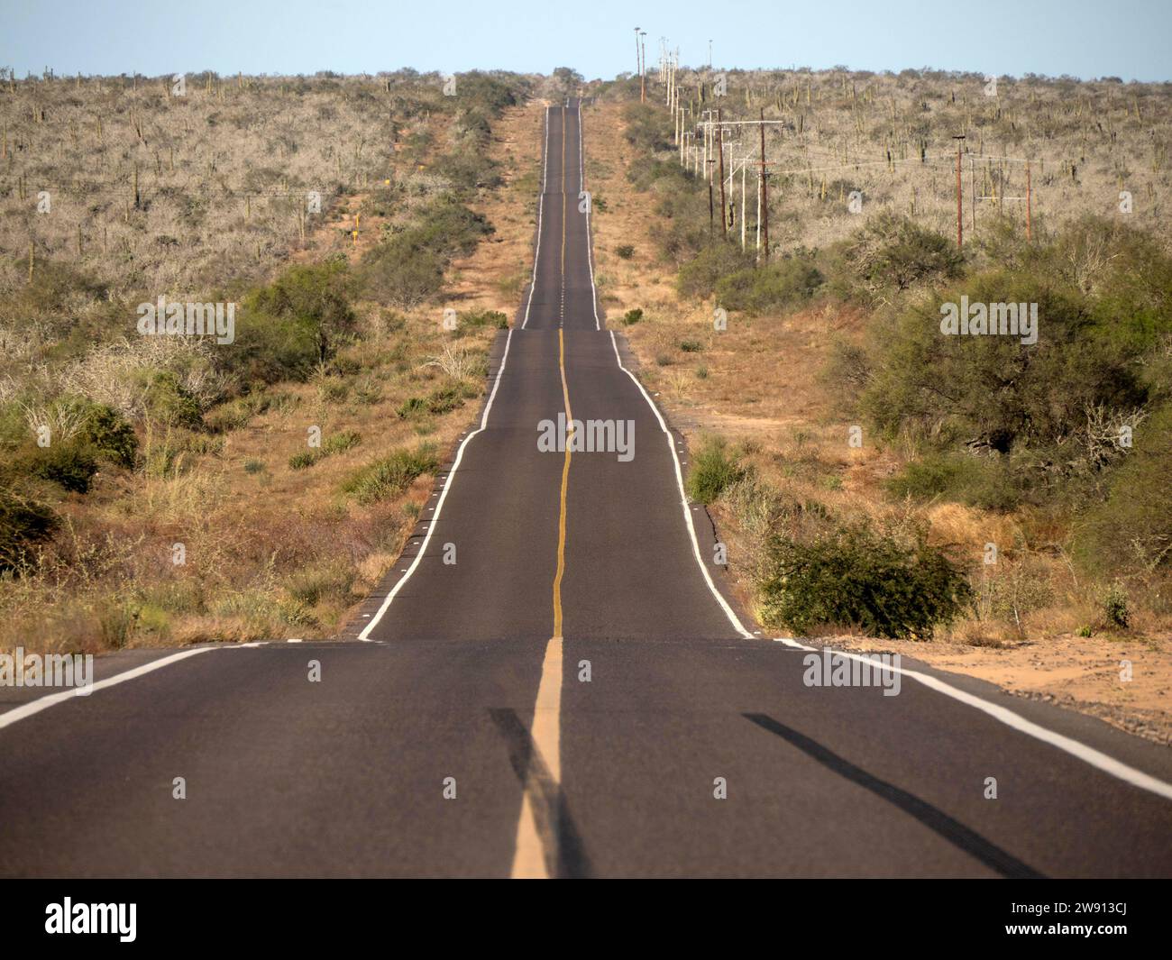 Road baja california sur hi-res stock photography and images - Alamy