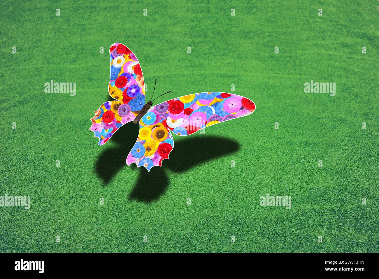 Designed butterfly hi-res stock photography and images - Alamy