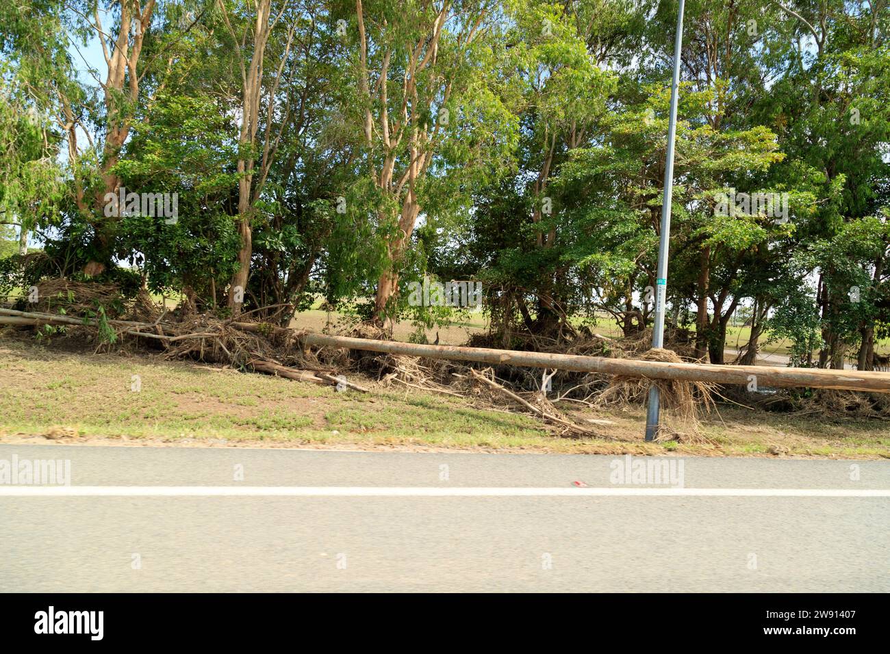 Cairns, Australia. 21st Dec, 2023. Debris and falen trees line the ...