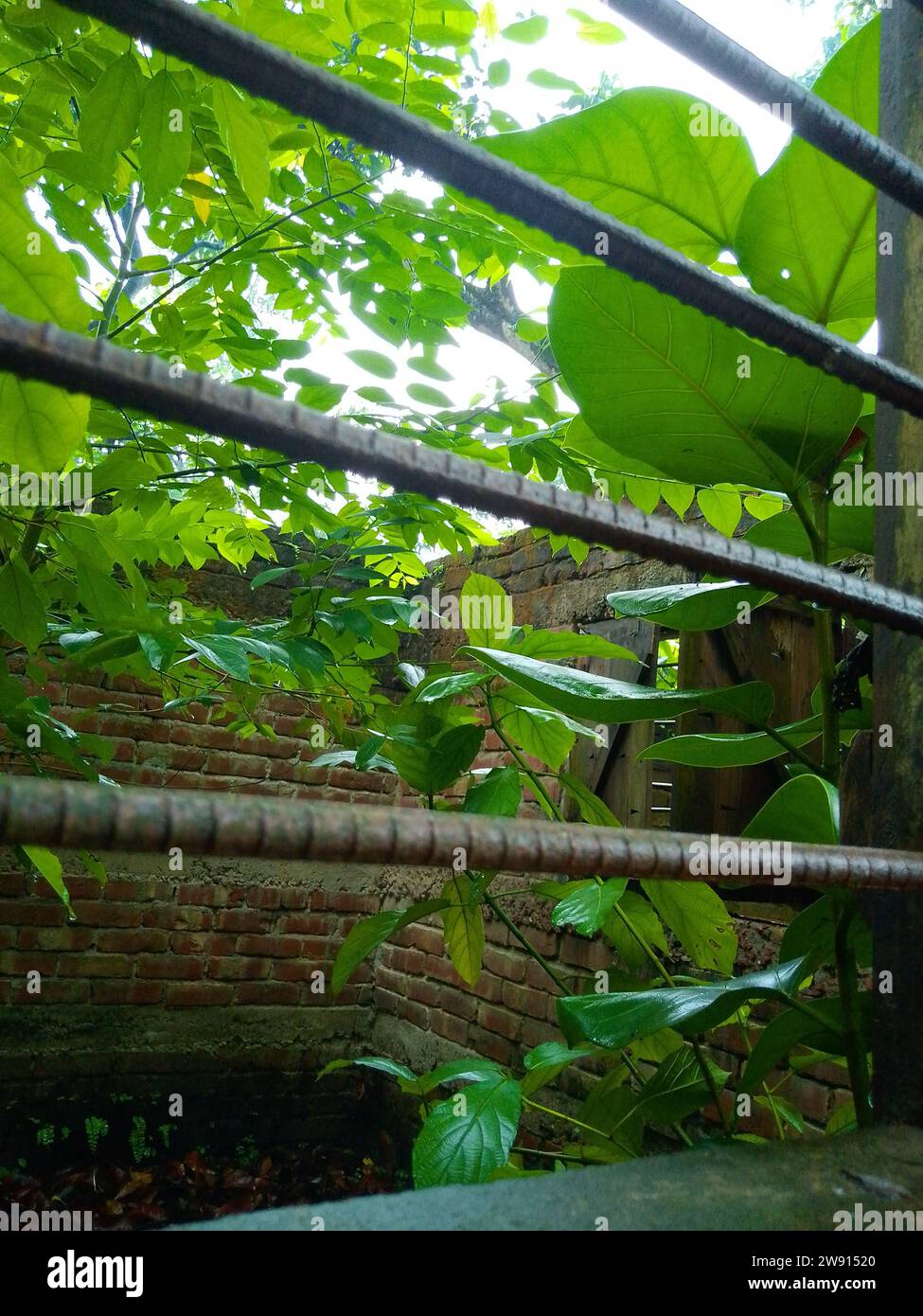 Open room without roof hi-res stock photography and images - Alamy