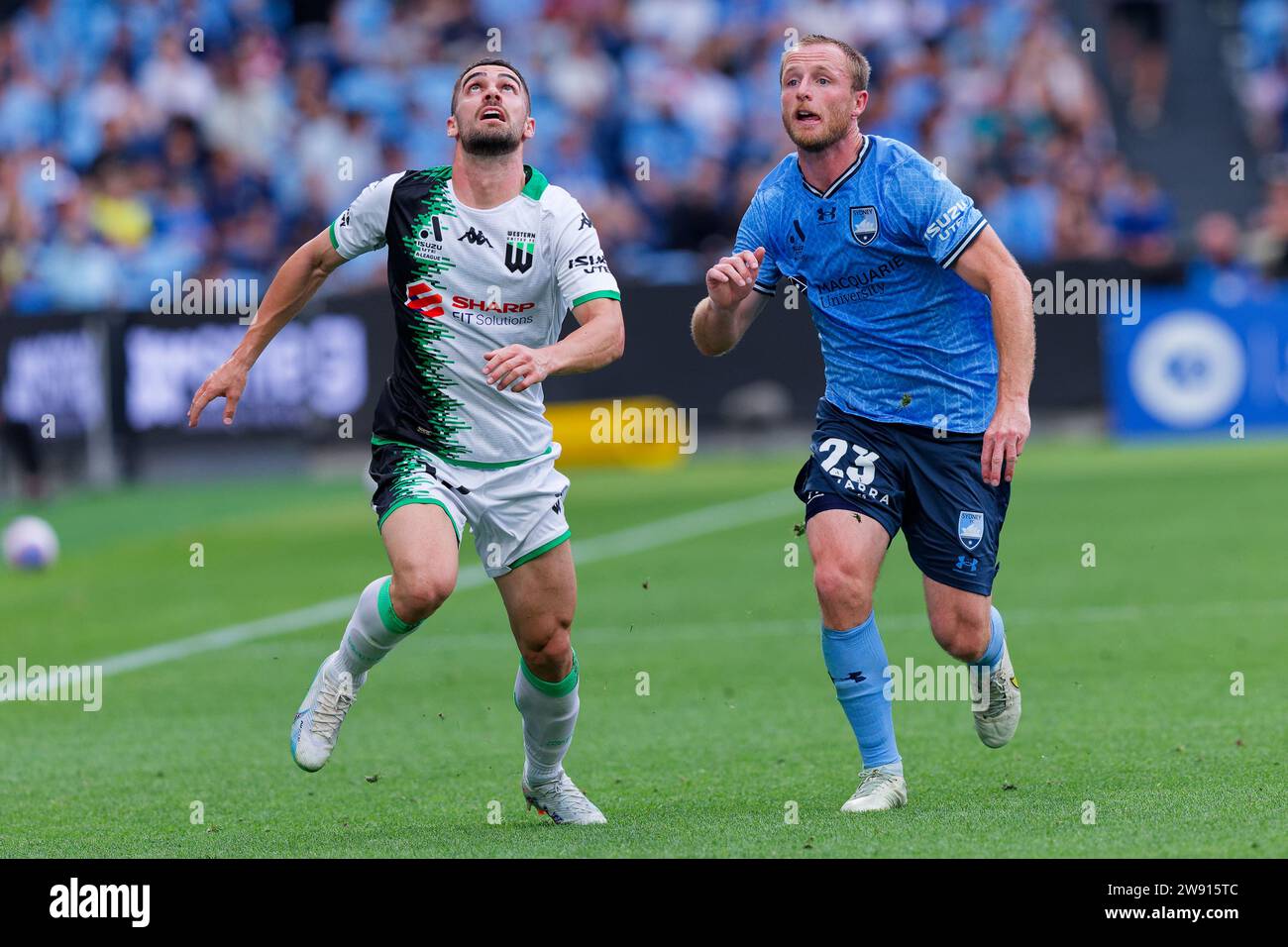 Sydney, Australia. 23rd Dec, 2023. Benjamin Garuccio of Western United ...