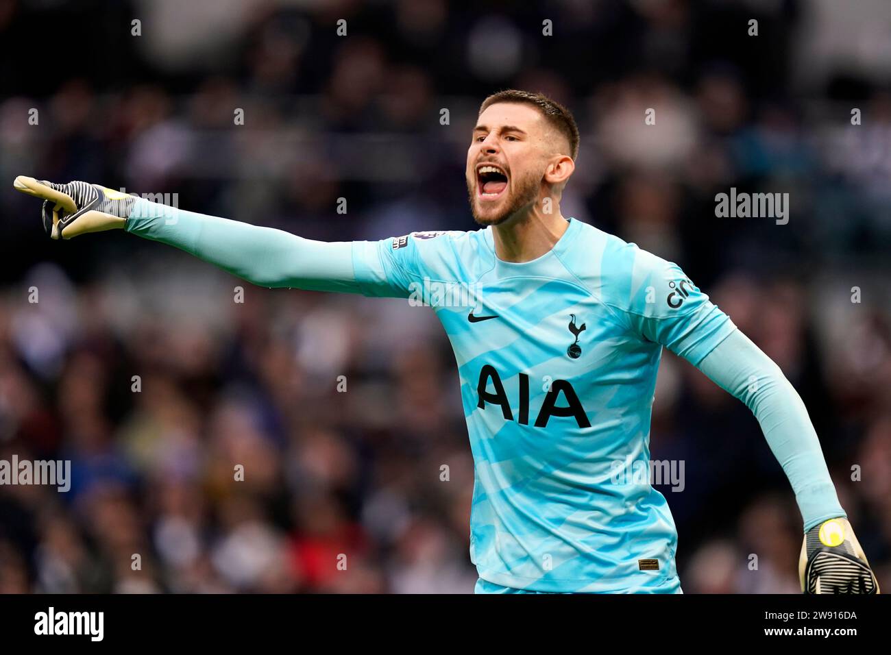 Tottenham Hotspur goalkeeper Guglielmo Vicario during the Premier ... Tottenham Hotspur goalkeeper Guglielmo Vicario during the Premier ...
