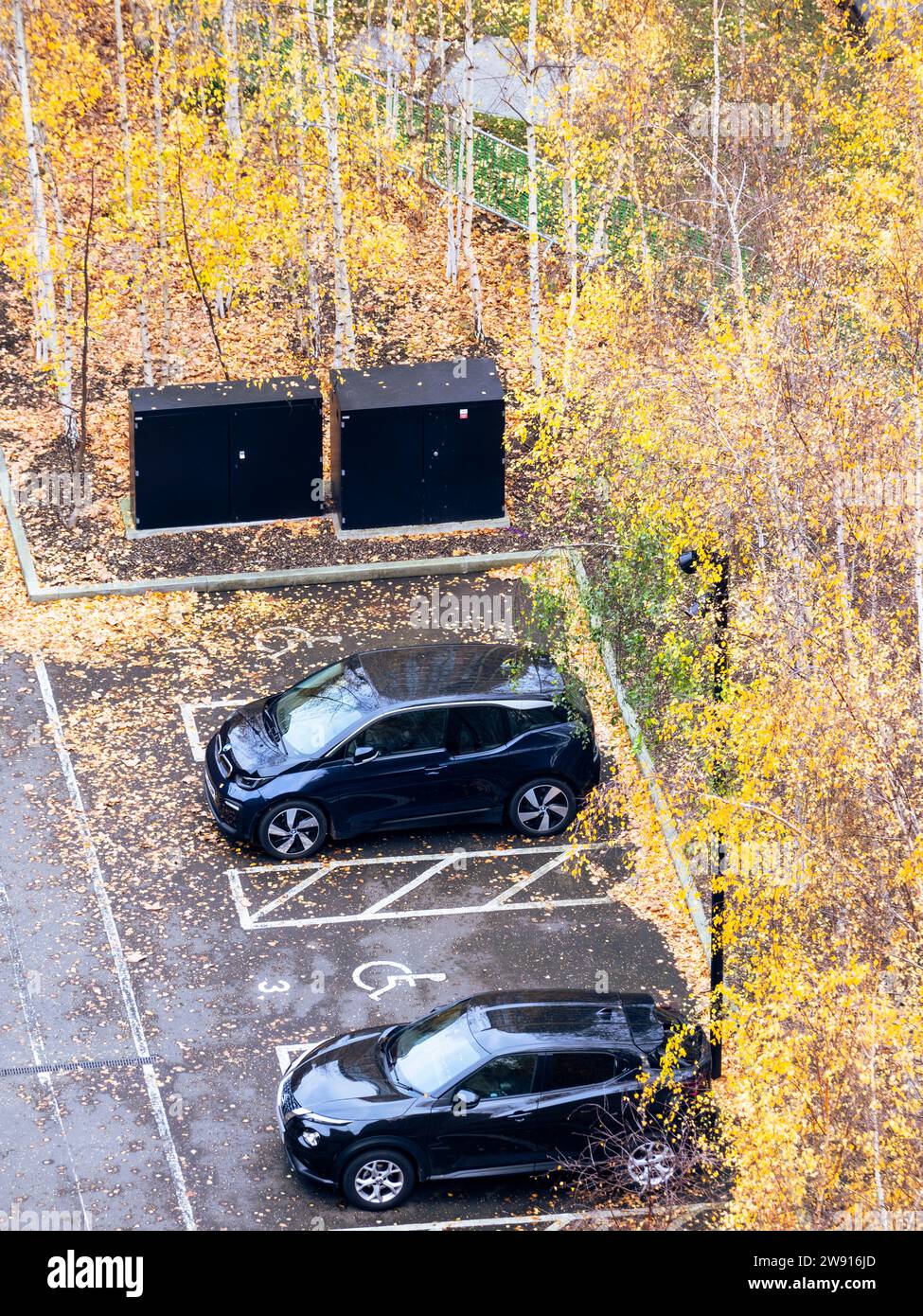 Autumn Trees and Car Park, Tate Modern, South Bank, London, England, UK ...
