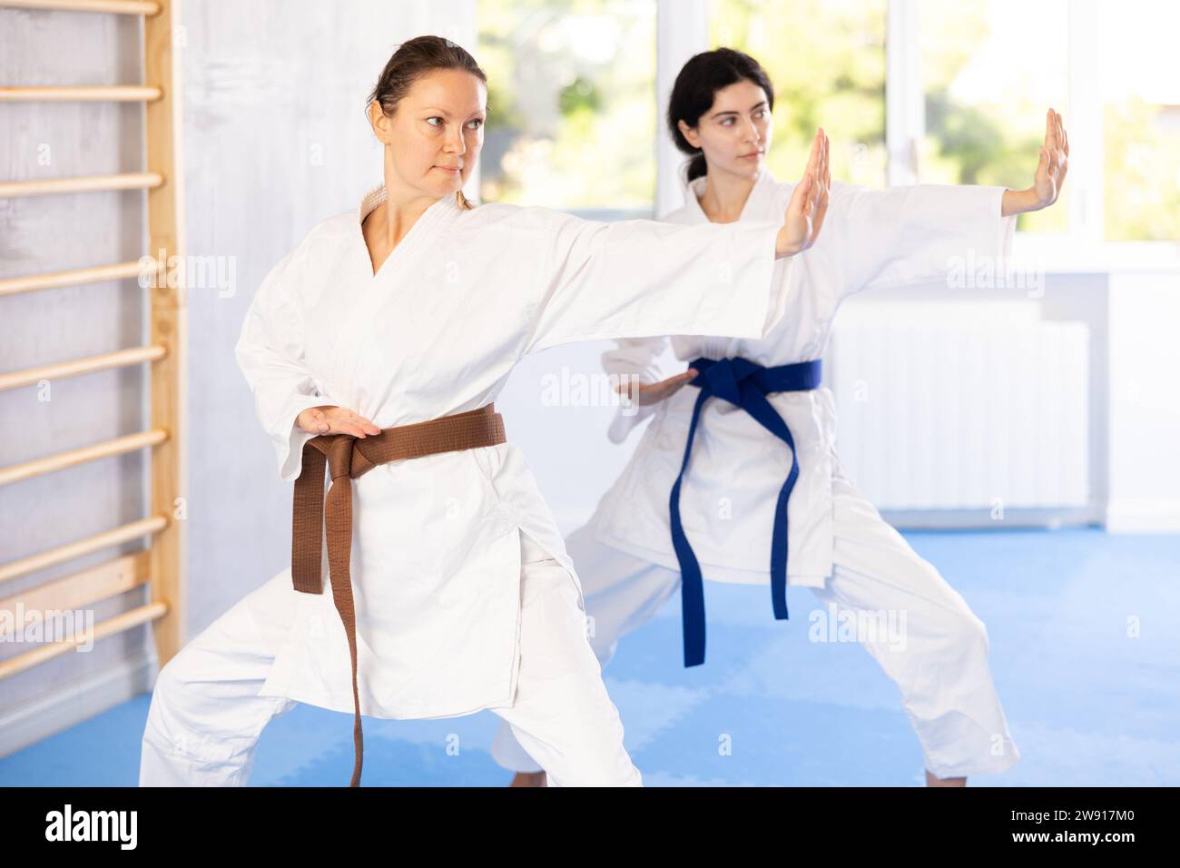 Two women training karate techniques in studio Stock Photo - Alamy