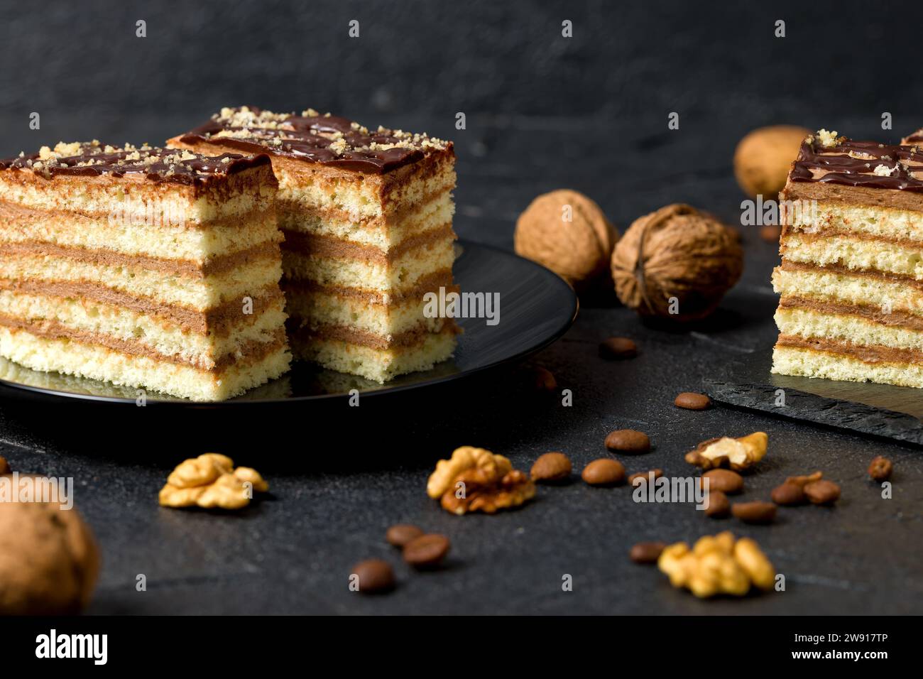 A piece of Dobosh cake. Hungarian sponge cake with chocolate butter ...
