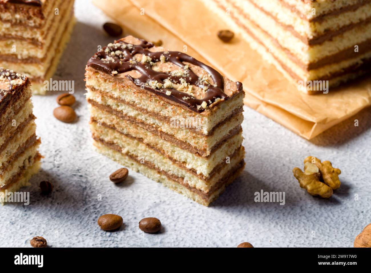 A piece of Dobosh cake. Hungarian sponge cake with chocolate butter ...