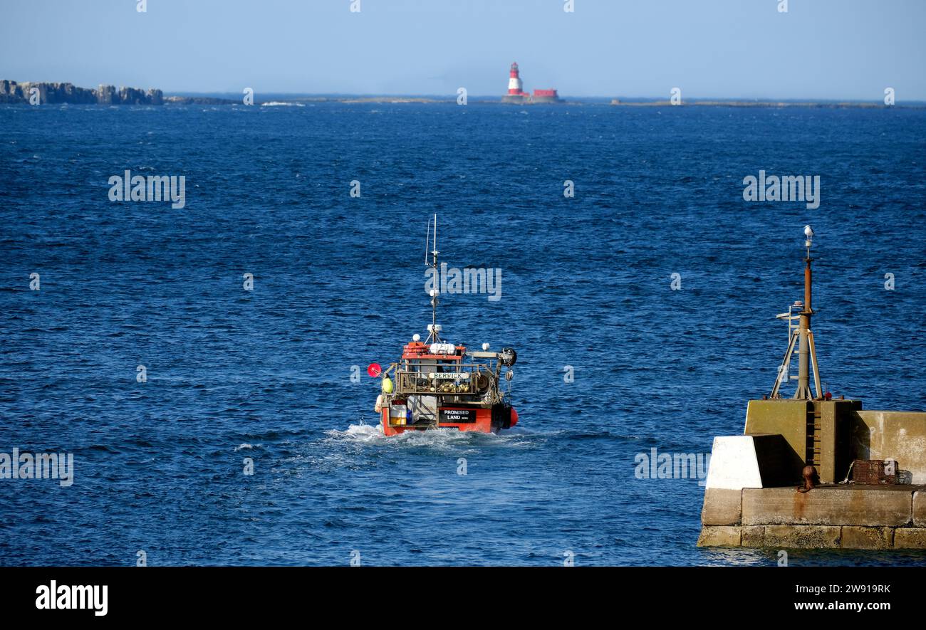 Crab and lobster fishing vessel. Northumberland, UK Stock Photo - Alamy