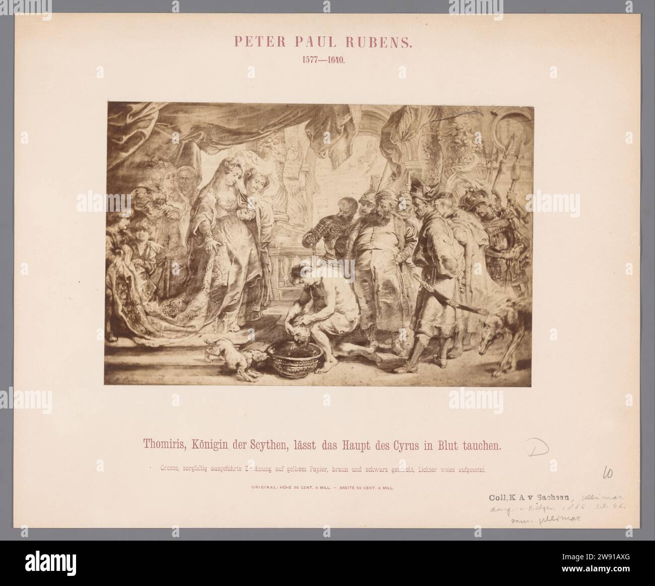 Photo production of drawing by Peter Paul Rubens, Thomiris lets the ...
