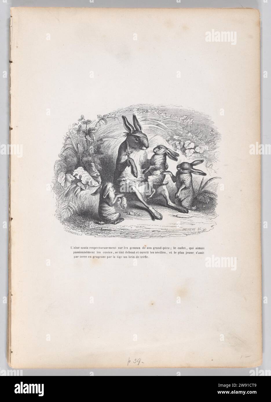 "The oldest rabbit jumped respectfully on his grandfather's lap ...