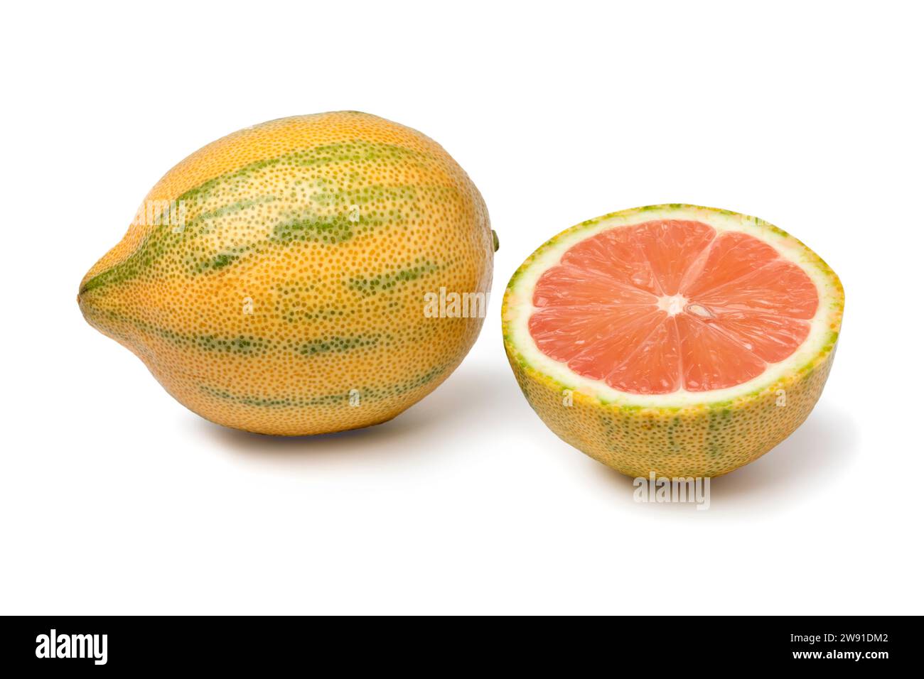 Whole and halved striped tiger lemon isolated on white background close ...