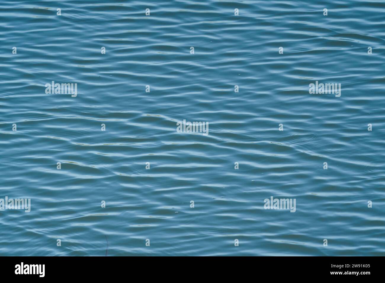 Water ripple effect hi-res stock photography and images - Alamy