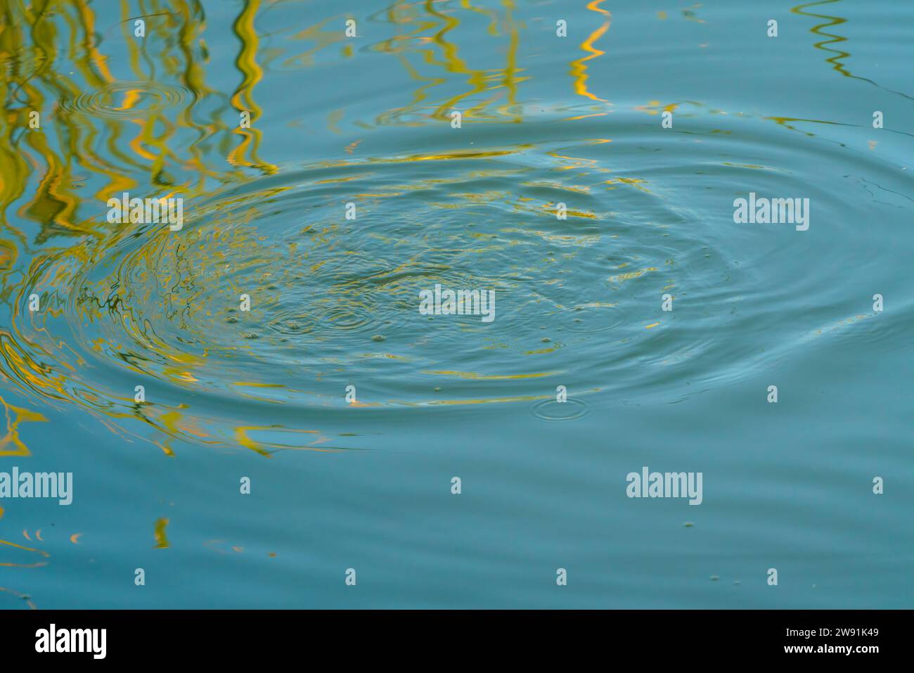 water waves, waves created by a bird diving into the water Stock Photo ...