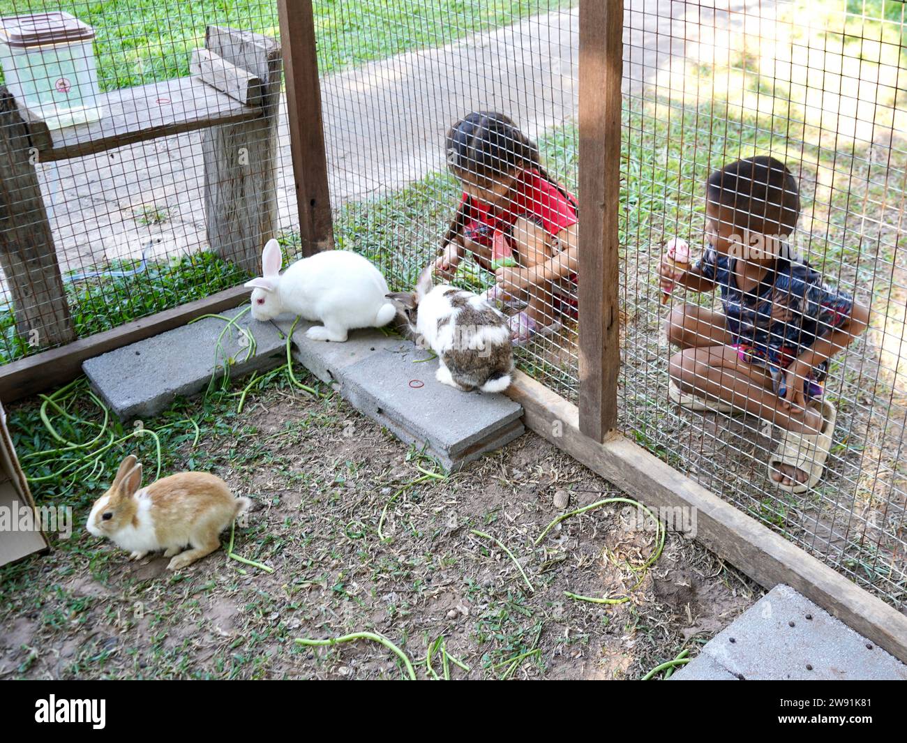 rabbit hutch activity Stock Photo - Alamy