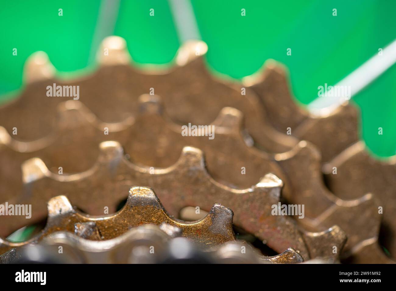 bicycle cassette with sprocket teeth with differentiated focus under ...