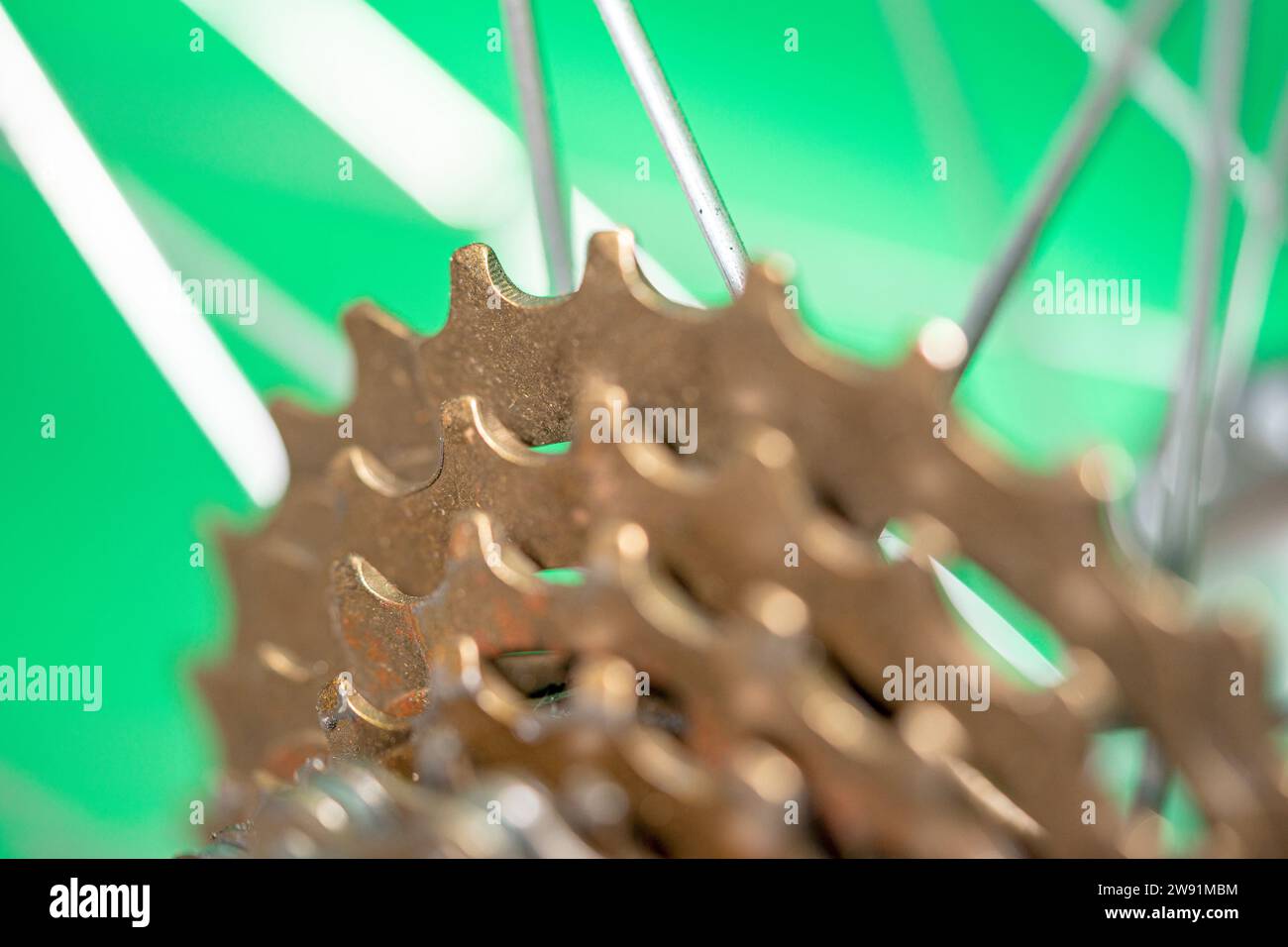 bicycle cassette with sprocket teeth with differentiated focus under ...