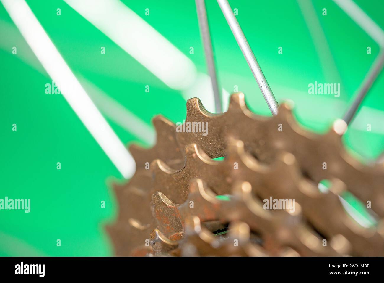 bicycle cassette with sprocket teeth with differentiated focus under ...