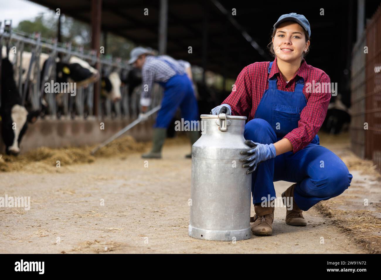 Female owner with milk can standing in stall on background with herd of ...