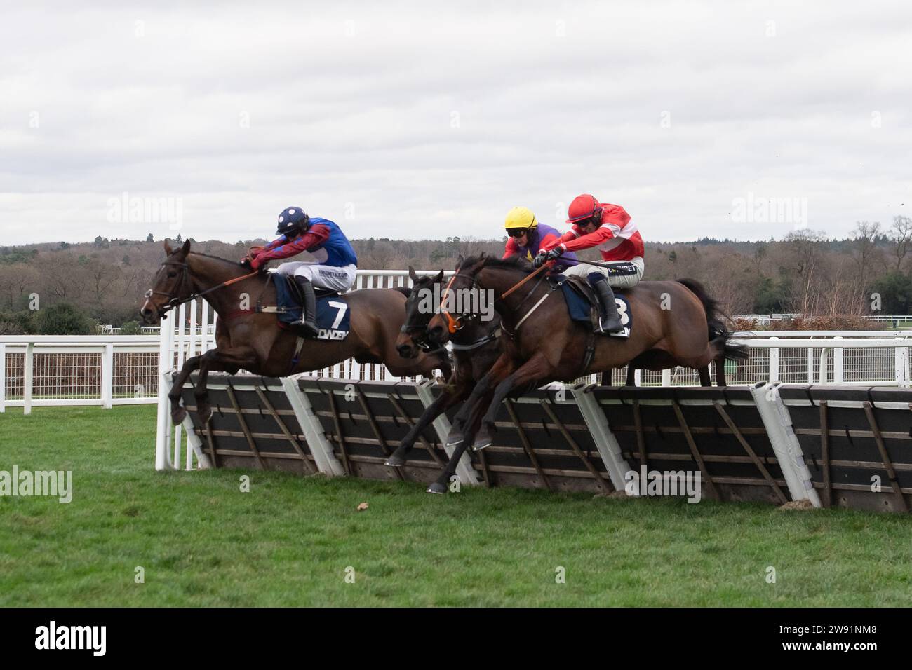 Ascot, UK. 23rd December, 2023. Horse Crambo ridden by jockey Jonathan ...