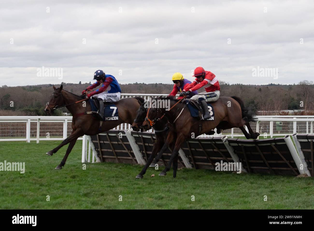 Ascot, UK. 23rd December, 2023. Horse Crambo ridden by jockey Jonathan ...