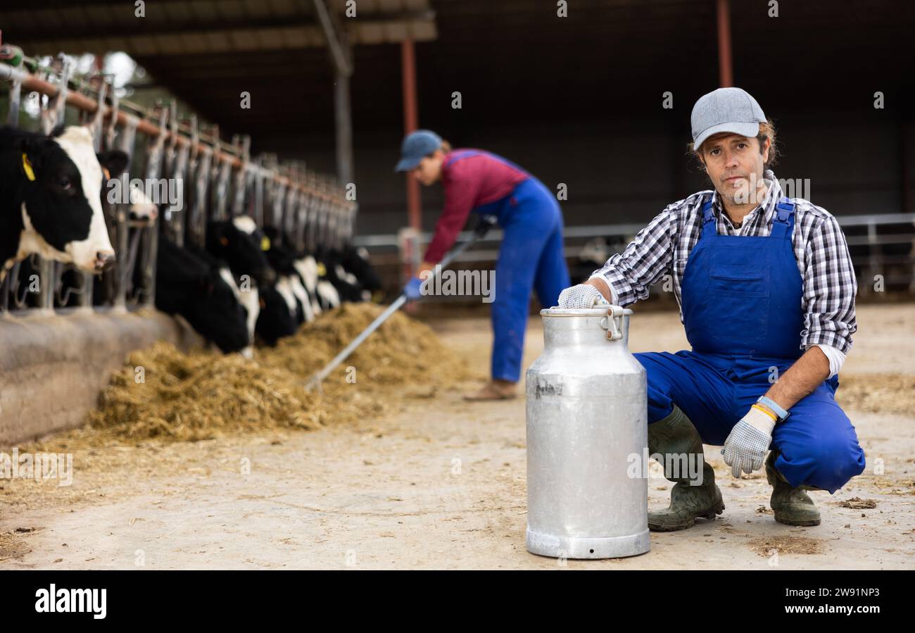 Skilled middle-aged male farmer carrying milk churn near stall with ...