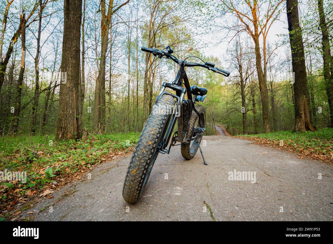 Electric bike with thick wheels on a road in the forest. Healthy sports ...