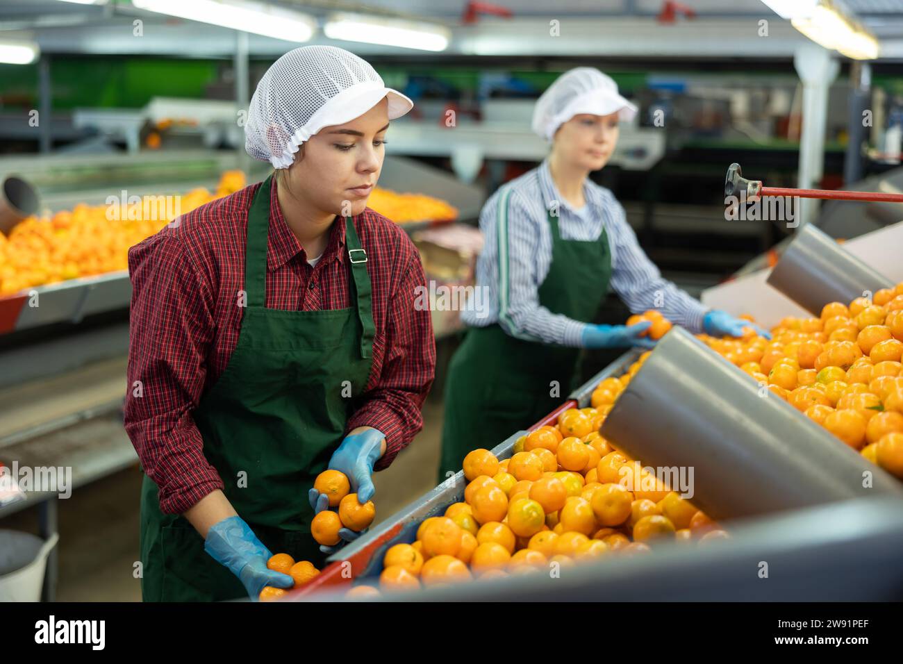 Manual sorter hi-res stock photography and images - Alamy