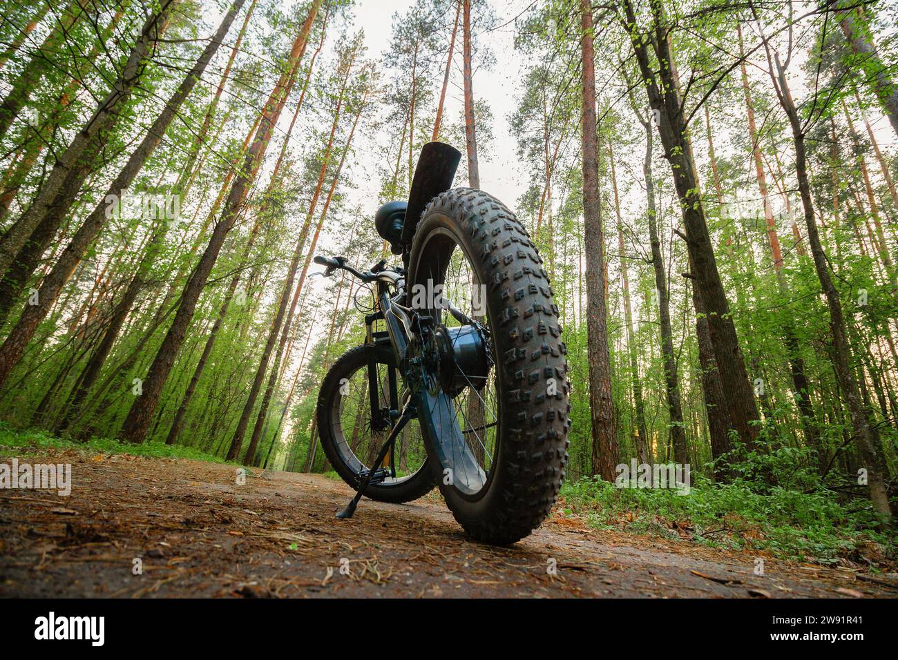 Electric bike with thick wheels on the background of a forest. Pleasant ...