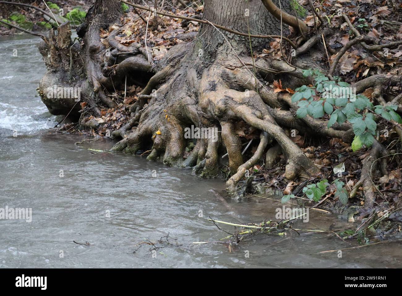 Recurring undercutting hi-res stock photography and images - Alamy