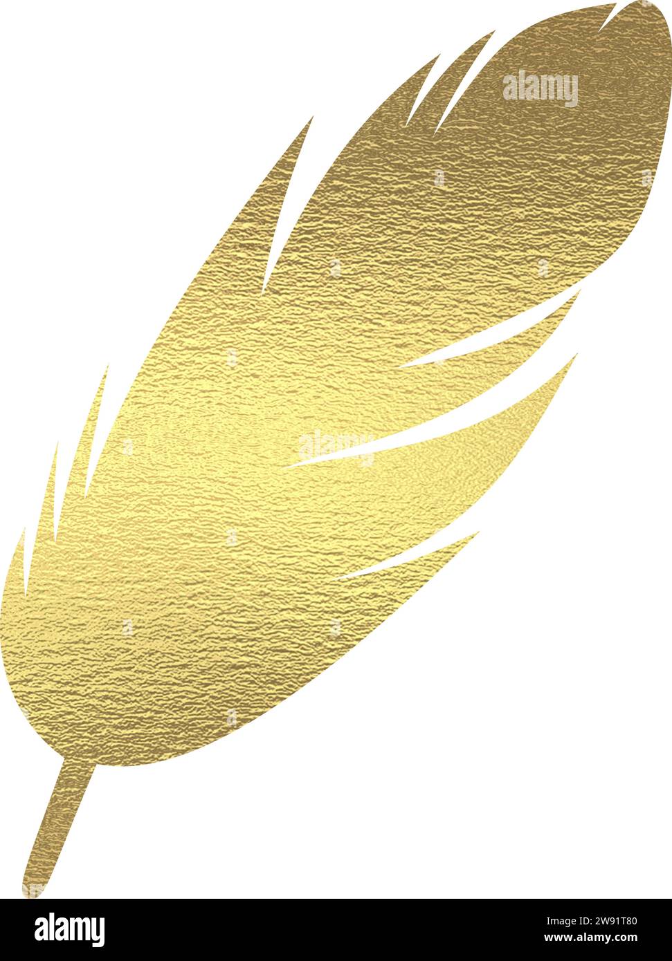 Feather with golden texture, golden foil Stock Vector Image & Art - Alamy