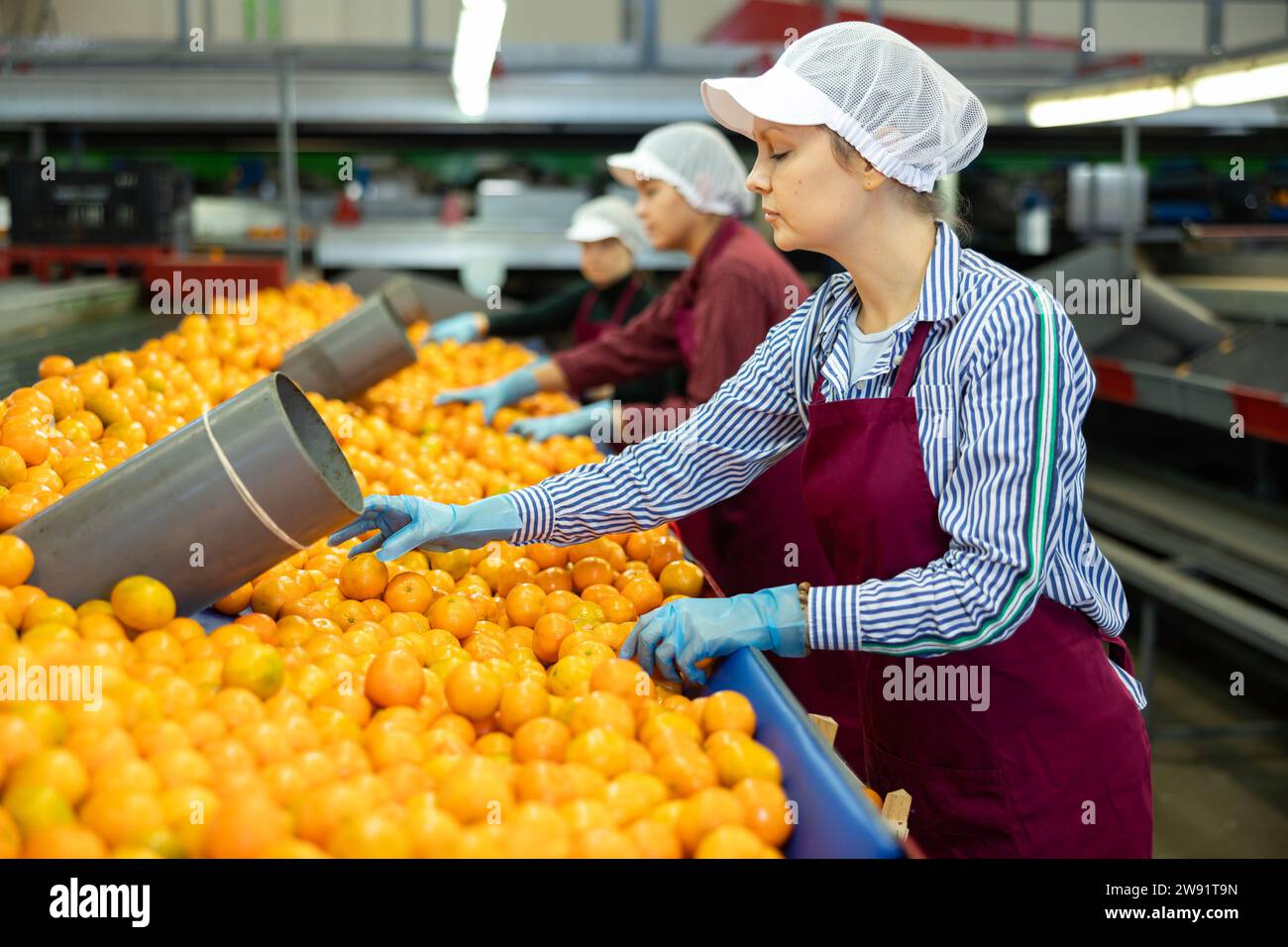 Manual sorter hi-res stock photography and images - Alamy