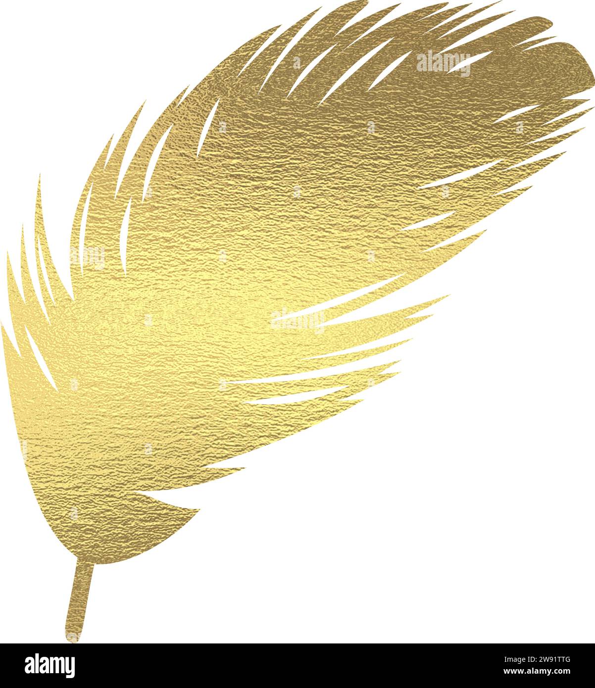 Feather with golden texture, golden foil Stock Vector Image & Art - Alamy