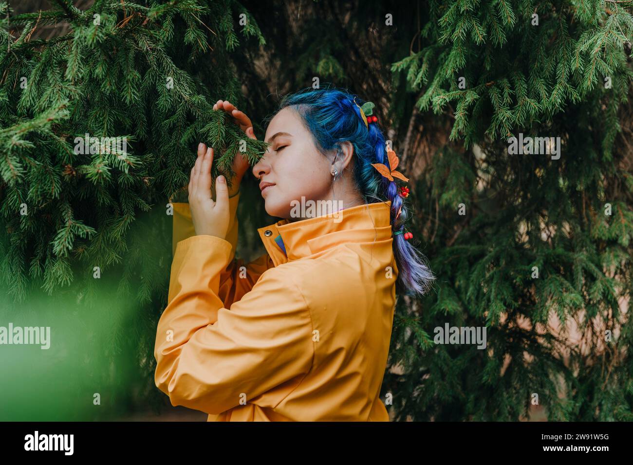 Woman touching branches of tree in forest Stock Photo - Alamy