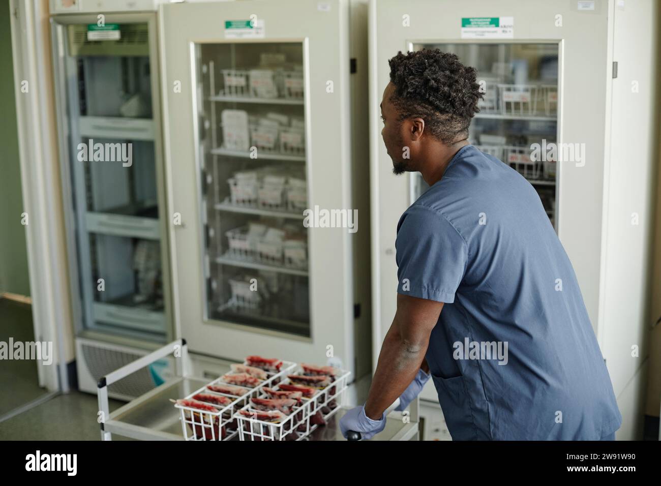 Lab technician pushing trolley of blood bags Stock Photo - Alamy