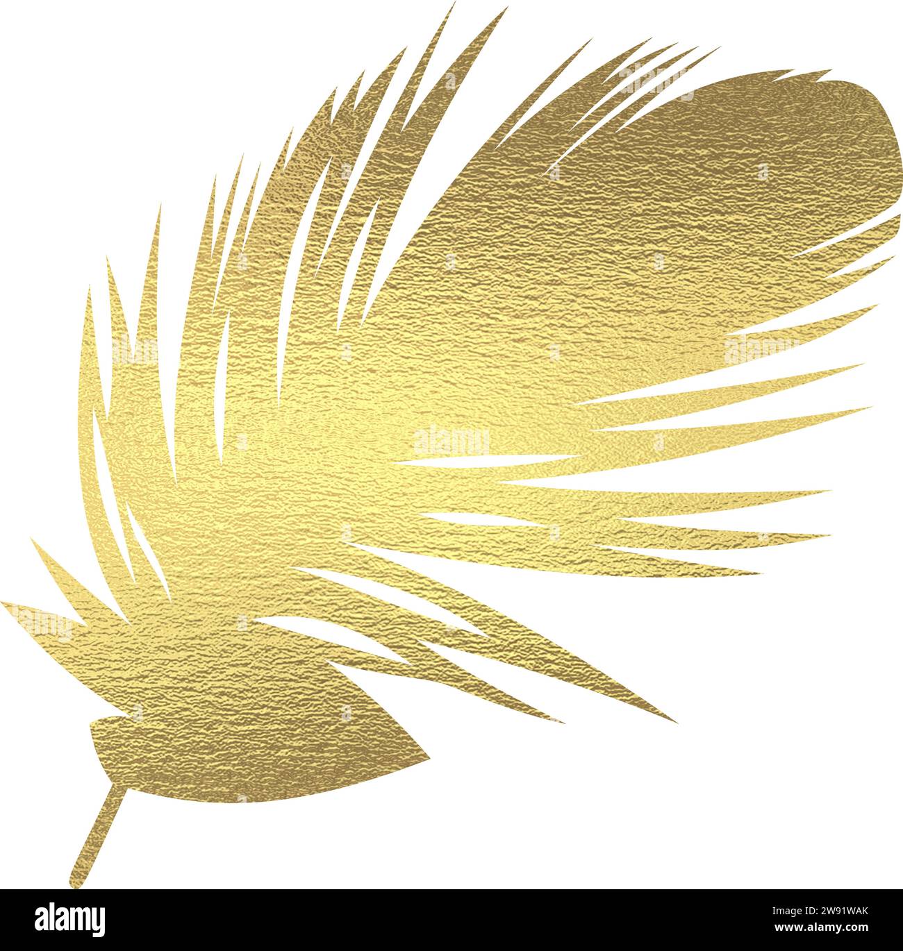 Feather with golden texture, golden foil Stock Vector Image & Art - Alamy
