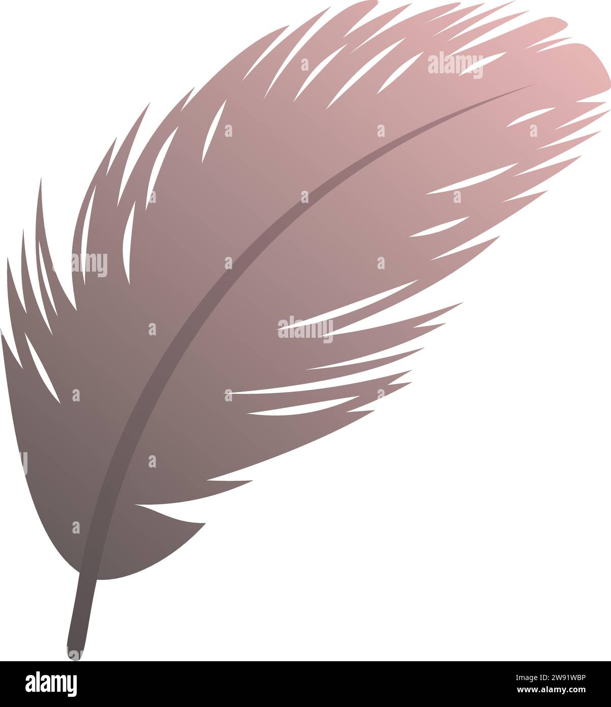Feather brown pink gradient with transparent background Stock Vector ...