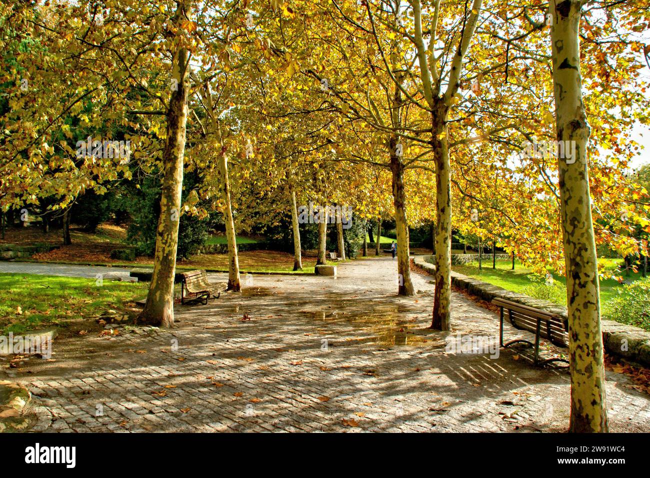 Porto city park hi-res stock photography and images - Alamy